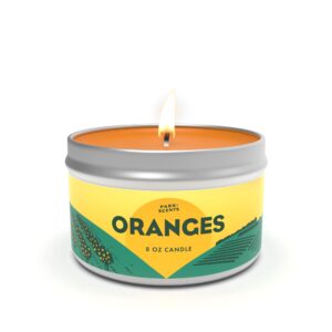 park scents oranges candle - smells like fresh citrus, inspired by the orange grove scene in soarin' around the world - epcot disneyworld - natural soy blend - handmade in the usa | 8 oz. tin