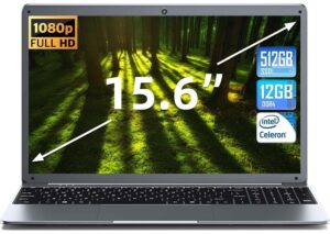 sgin 15.6 inch laptop, home 12gb ddr4 512gb ssd laptops with celeron n5095 processor(up to 2.9ghz), fhd 1920x1080, webcam, long battery life, wifi, bluetooth 4.2