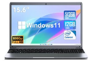 sgin laptop, 15.6 inch laptops, 12gb ddr4 512gb ssd, celeron n5095 processor(up to 2.9ghz),fhd 1920x1080 ips bluetooth 4.2, webcam, wifi, 2*usb 3.0, mini hdmi