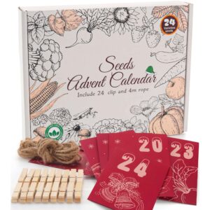 seeds christmas advent calendar 2024 for women adult, hanging decor xmas countdown calendar for garden alike,unique christmas countdown for dad mom kids family