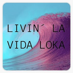 magnet livin la vida loka - big wave graphic vinyl magnet bumper sticker decal 5"