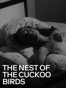 the nest of the cuckoo birds