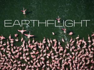 earthflight trailer