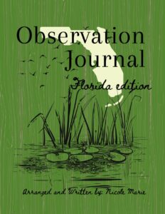 observation journal: florida edition