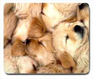 golden retriever puppy dog 1 mousepad mouse pad mousemat mouse mat