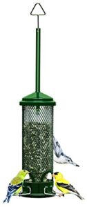 squirrel buster mini squirrel-proof bird feeder w/4 metal perches, 1.3lbs seed capacity, garden green