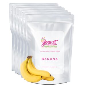 yogurt powder factory banana frozen yogurt mix – 6 count 4.4lb bag non-gluten low fat yogurt powder for soft serve machine – delicious ice cream mix ideal for desserts, smoothies – easy preparation