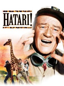 hatari!