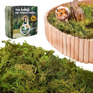 duspro 5oz hamster bedding, natural forest moss bedding for hamster, hamster bedding odor control, decorate hamster hideout with moss.