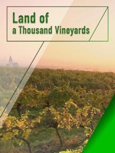 land of a thousand vineyards