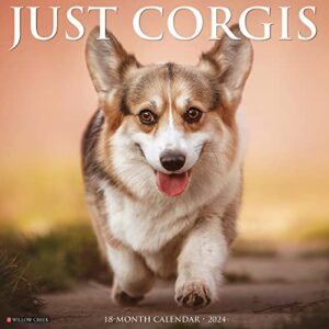 willow creek press corgis monthly 2024 wall calendar (12" x 12")