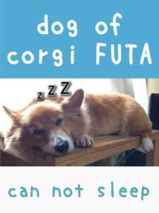 dog of corgi futa - can not sleep