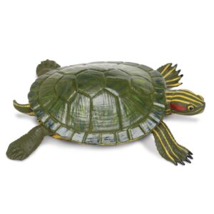 safari ltd. red-eared slider turtle figurine - realistic 5.25" model figure - educational toy for boys, girls, and kids ages 18m+