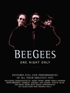 bee gees - one night only