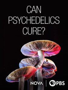 can psychedelics cure?