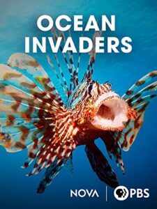 ocean invaders