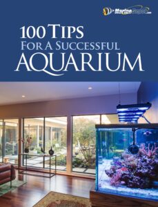 100 tips for a successful aquarium