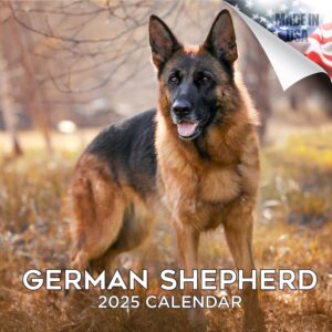 2024 2025 german shepherd calendar - dog breed monthly wall calendar - 12 x 24 open - thick no-bleed paper - giftable - academic teacher's planner calendar organizing & planning - made in usa