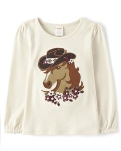 gymboree,and toddler embroided graphic long sleeve t-shirts,flower horse,6