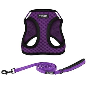 voyager step-in air all weather mesh harness and reflective dog 5 ft leash combo with neoprene handle, for small, medium and large breed puppies by best pet supplies - purple, small