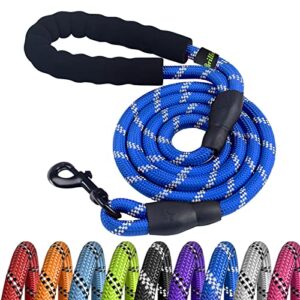 brilliant paw strong rope dog leash 5ft, durable nylon dog leash, dog lead, with highly reflective thread and comfortable soft padded handle, heavy duty dog leash for medium, large dog, navy blue…