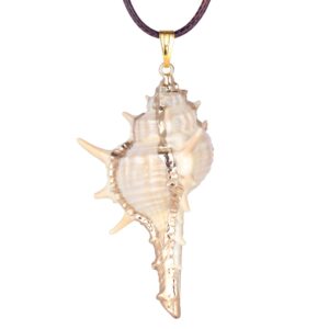 fm fm42 natural seashell shell scallop conch pendant necklace (style 1)