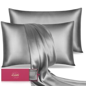 lacette silk pillowcase for hair and skin 2 pack, 22momme 100% mulberry silk & natural wood pulp fiber grade 6a dual-sided silk pillow cases, silk pillow cover with zipper (standard20 x26,space gray)