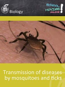 transmission of diseases by mosquitoes and ticks - school movie on biology