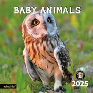 2025 wall calendar,calendar 2025, january 2025 - december 2025, wall calendar baby animals, 12" x 24" opened,full page months thick & sturdy paper for calendar organizing & planning