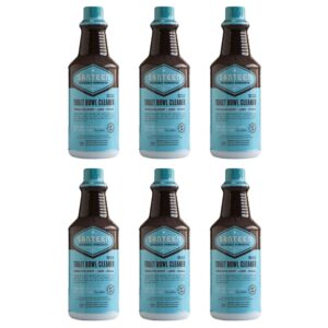 santeen rust, scale & delimer remover| 6-pack of 1-quart bottles | removes rust, lime, and scale buildup