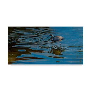 trademark fine art, 24x47-inch ripples in the shallow by michael jackson